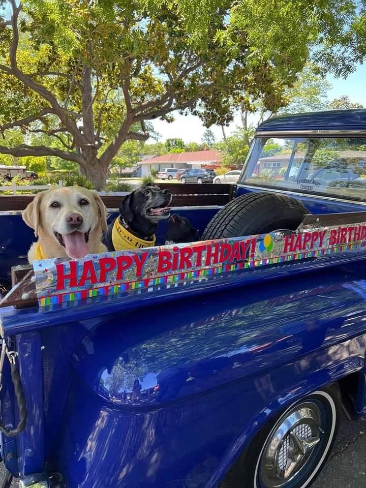 En compañía de 200 lomitos, Robert celebró 100 años de vida • Metropolitano