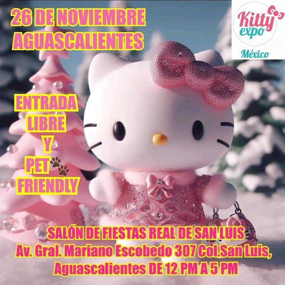 ¡La Kitty Expo viajera regresa a Aguascalientes! • Metropolitano